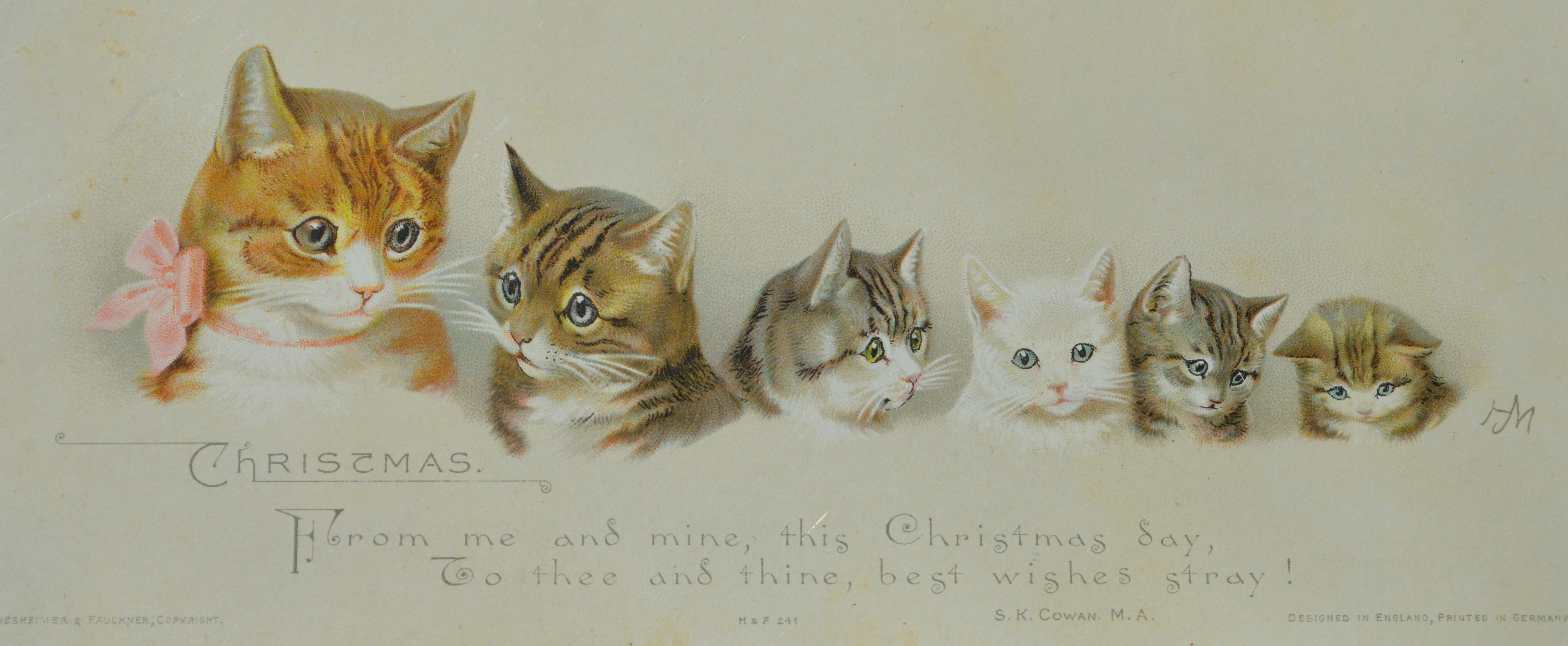 The Collecting Cat, Helena J. Maguire | Beth Anne's Finest All-Natural ...